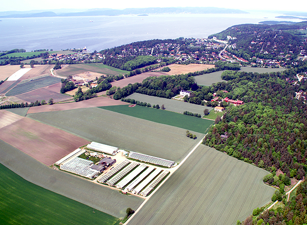 Reier gård – Moss byleksikon