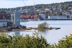 Rabben – Moss byleksikon